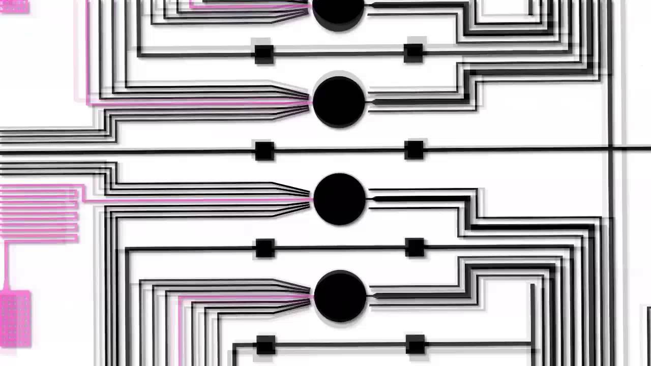 CellASIC ONIX Microfluidic Platform - YouTube