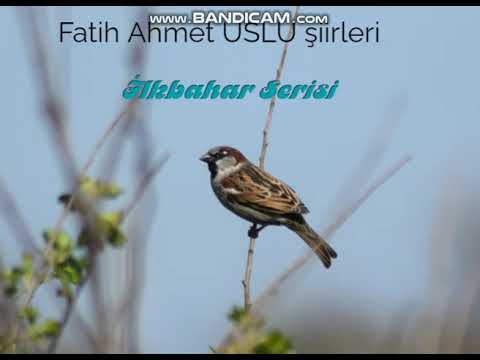 Gülmeyi hatırlattın-şiir