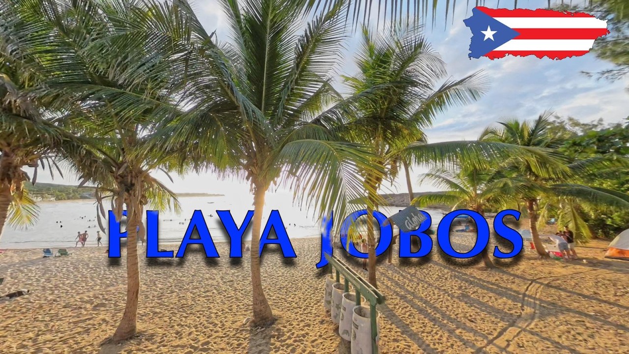 Exploring Playa Jobos In Isabela Puerto Rico - YouTube