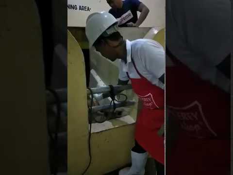 Cattle Stunning #1 - YouTube