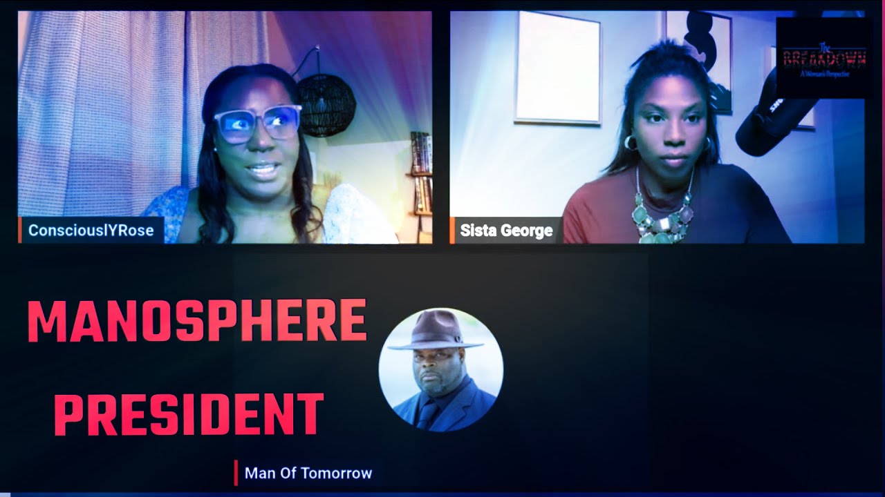 THE REVIEW OF MOT ASSESSMENT OF THE RED PILL AND MANOSPHERE SPACE # ...