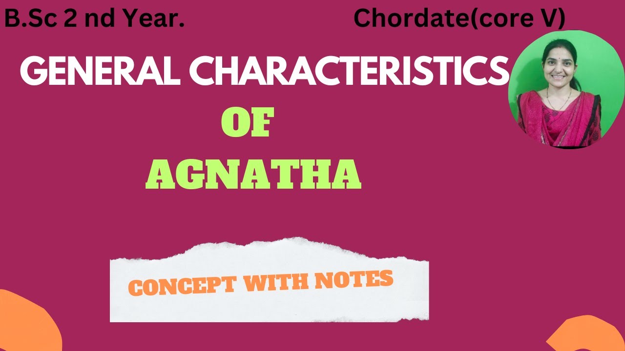 General characteristics of Agnatha B.Sc 2nd year||Agnatha bsc zoology# ...