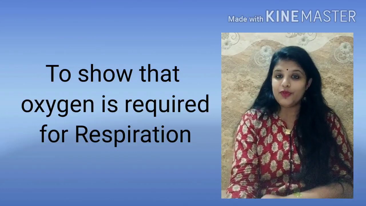 To show that oxygen is required for respiration. - YouTube