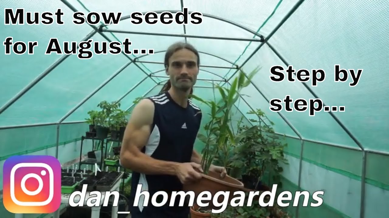 What to sow in August. Step by step... - YouTube