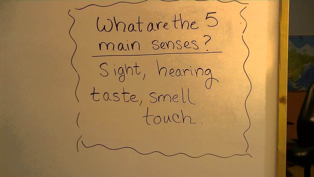CC Cycle 3 Science, Week 5 - YouTube