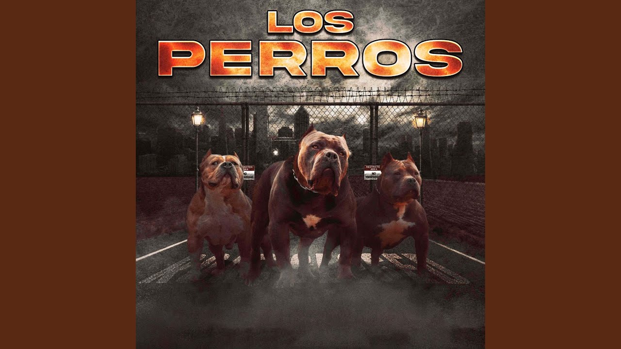 Los Perros - YouTube