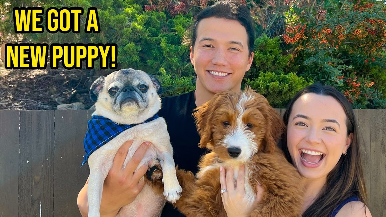 WE GOT A NEW PUPPY! - YouTube