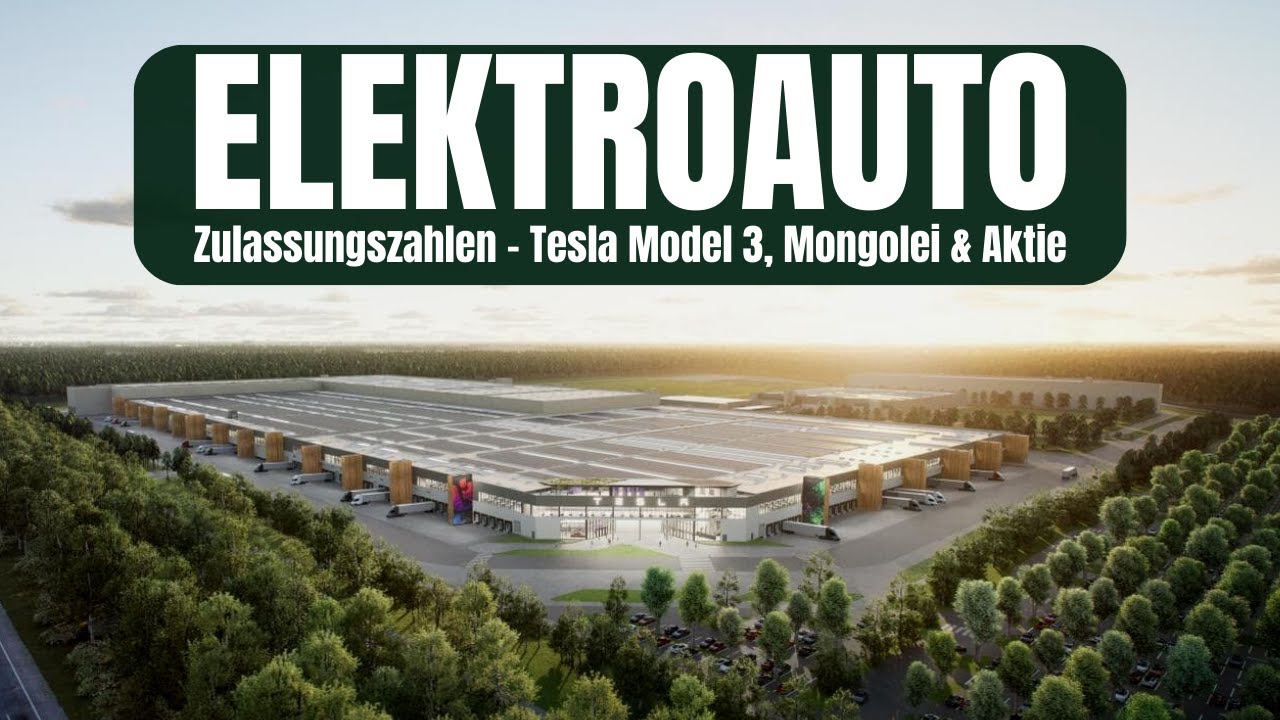 Elektroauto Zulassungen - Tesla Model 3 - Tesla Mongolei - Tesla Aktie ...