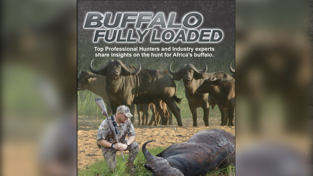 Buffalo Fully Loaded - YouTube