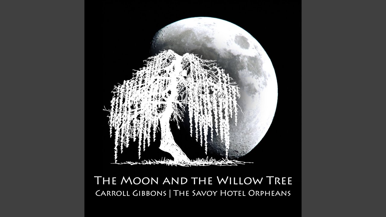 The Moon and the Willow Tree - YouTube
