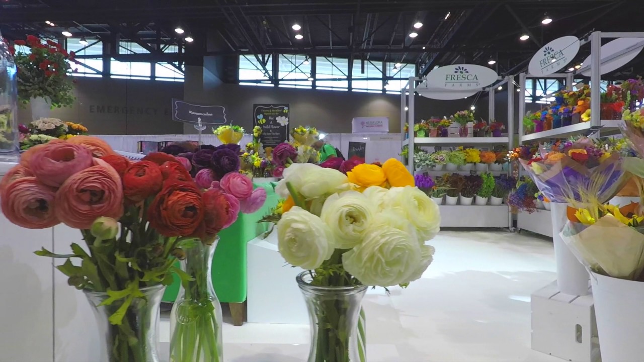 Fresca Farms IFE 2017 - YouTube