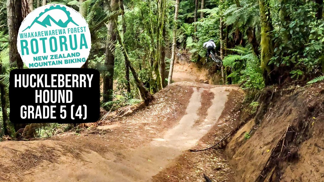 The New Classic JUMPS Track | Trail Huckleberry Hound, Rotorua - YouTube