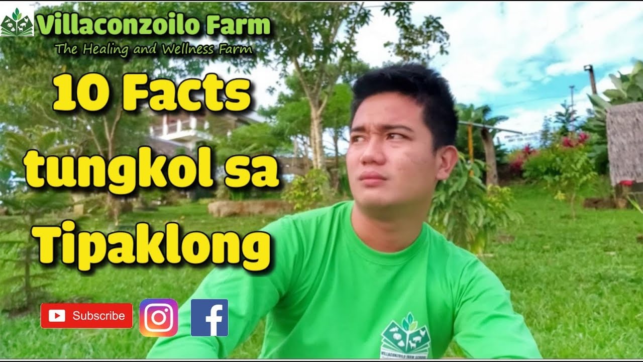 10 Fact tungkol sa Tipaklong l Villaconzoilo Farm - YouTube