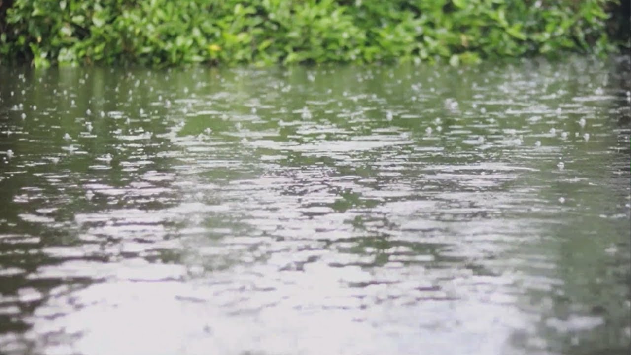 Beautiful Rain On Village Pond Water | 10 Hours Rain On water For ...