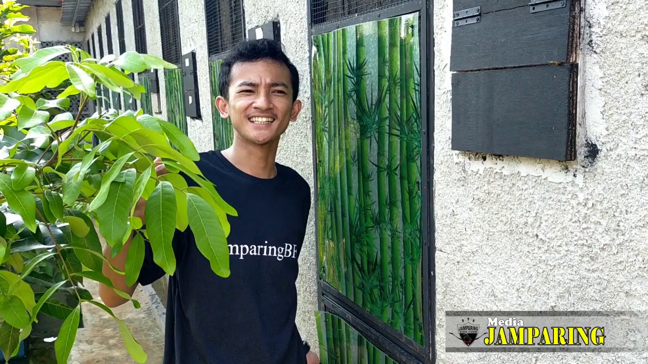 Welcome to the Jamparing Bird Farm - YouTube