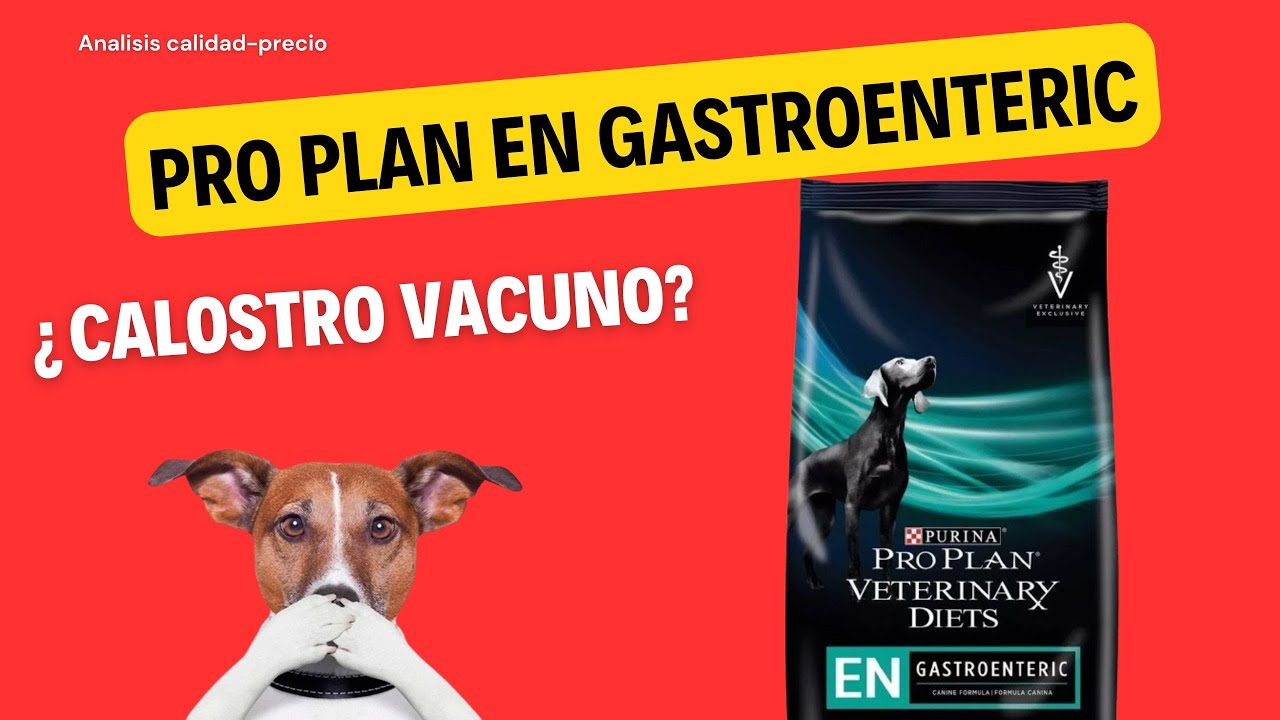 Análisis de alimento para perro: PRO PLAN EN GASTROENTERIC - YouTube