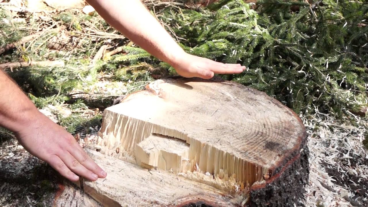 Technique abattage - YouTube