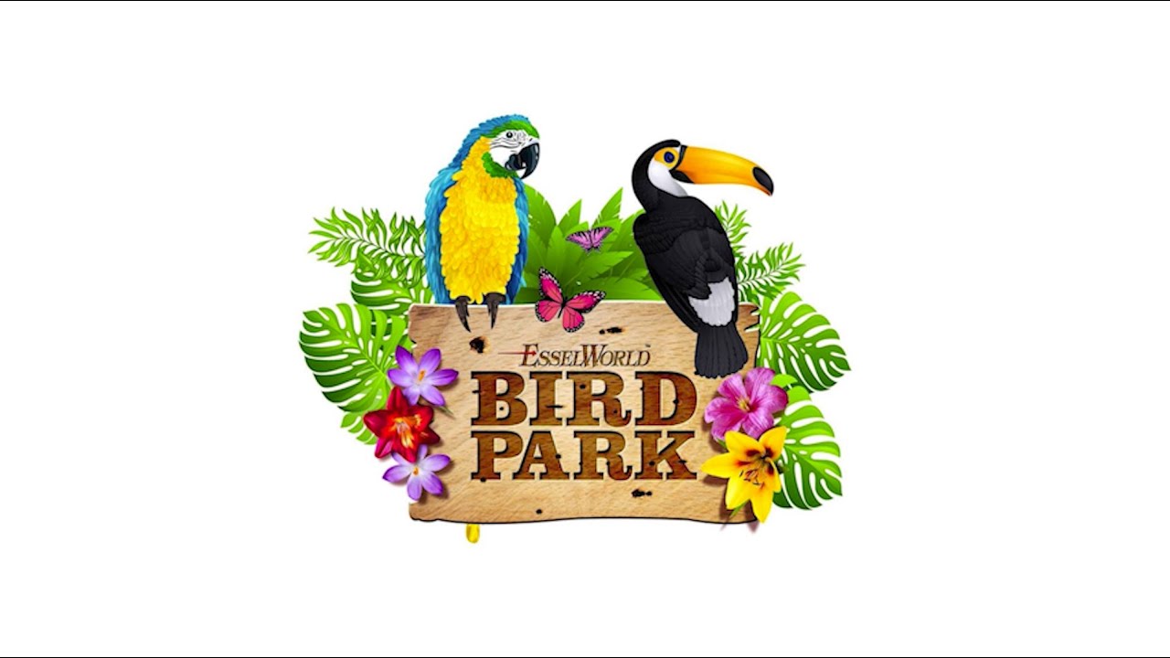 BIRD PARK ! India's First Interactive Bird Park at Essel World. - YouTube
