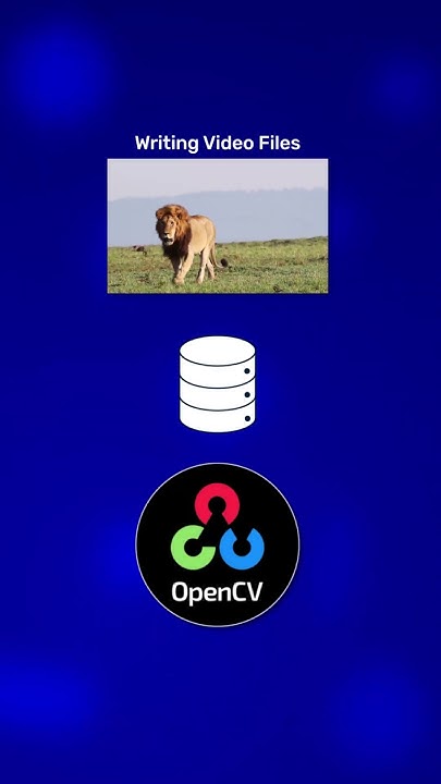 Reading & Writing Videos using OpenCV - YouTube