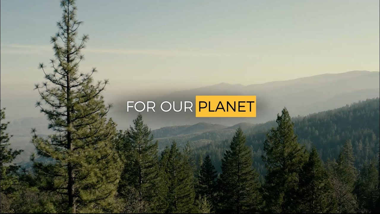 One Tree Planted Partners Chill faraway - YouTube