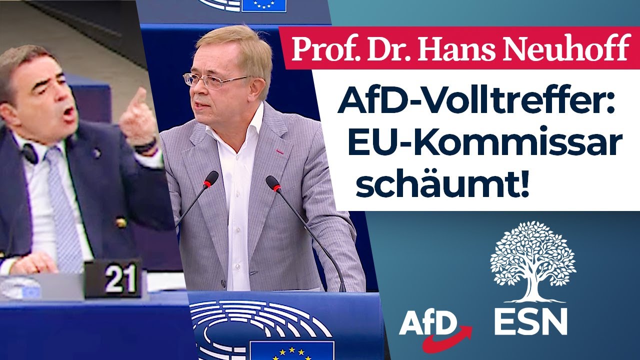 „Sie sind Europas Totengräber!“ – Prof. Dr. Hans Neuhoff (AfD) - YouTube