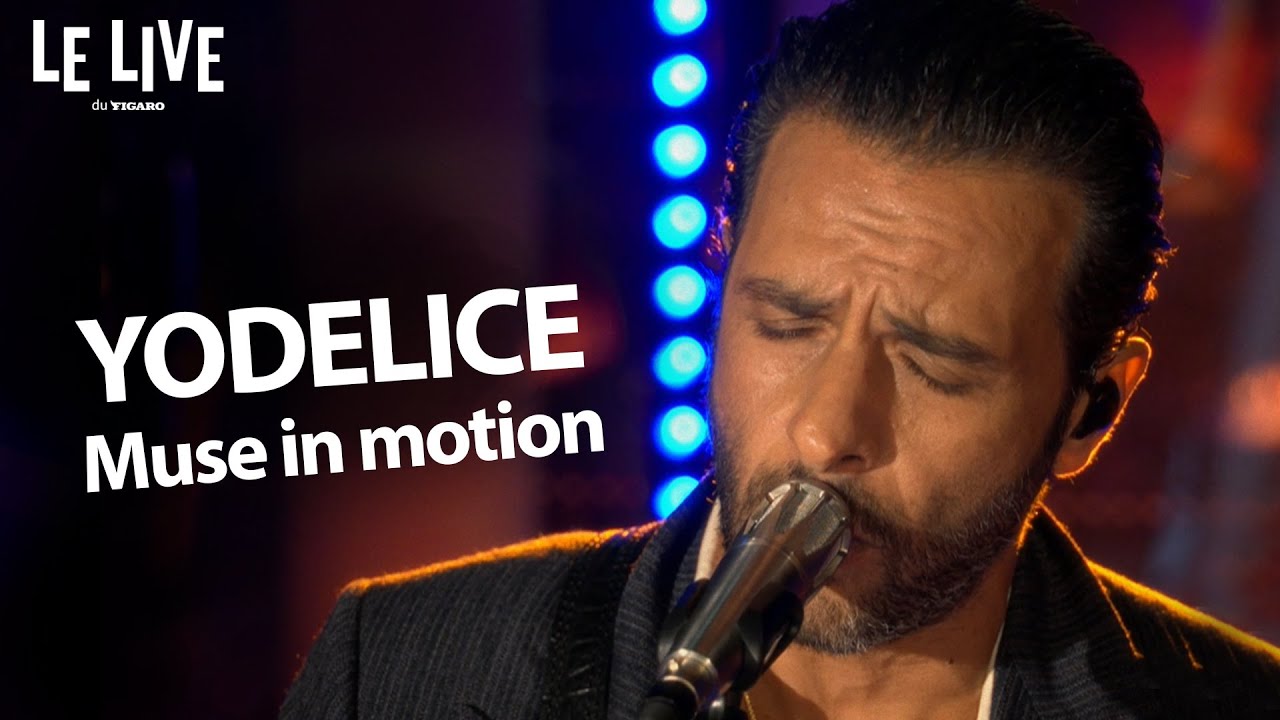Yodelice (@yodelicemusic) - Muse in motion (live) - YouTube