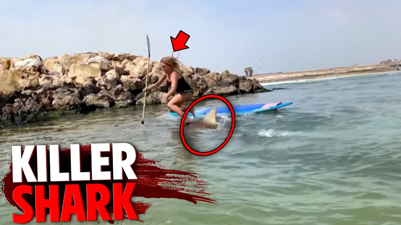 These 3 Killer Sharks Have NEVER Been Caught! - YouTube