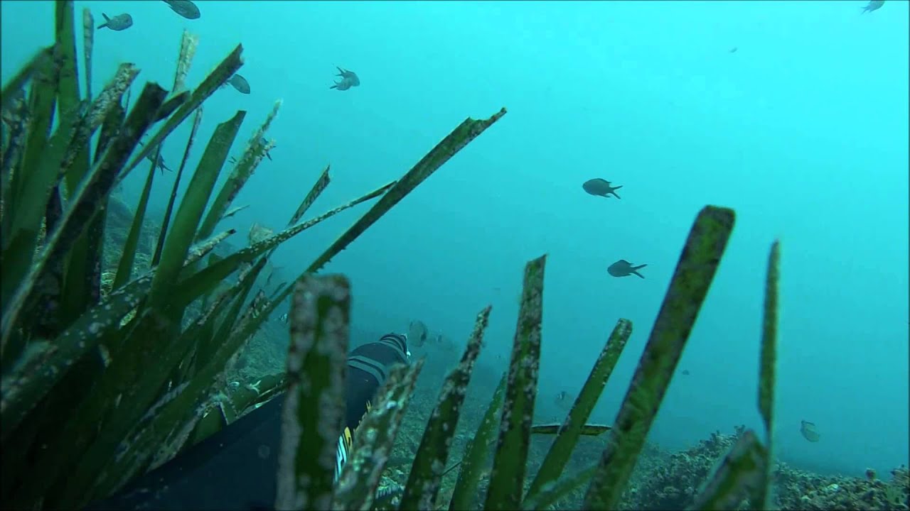 MARES cyrano hf EVO 120 - YouTube