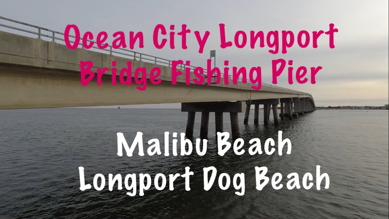 Ocean City Longport Bridge Fishing Pier, Malibu Beach, Longport Dog ...
