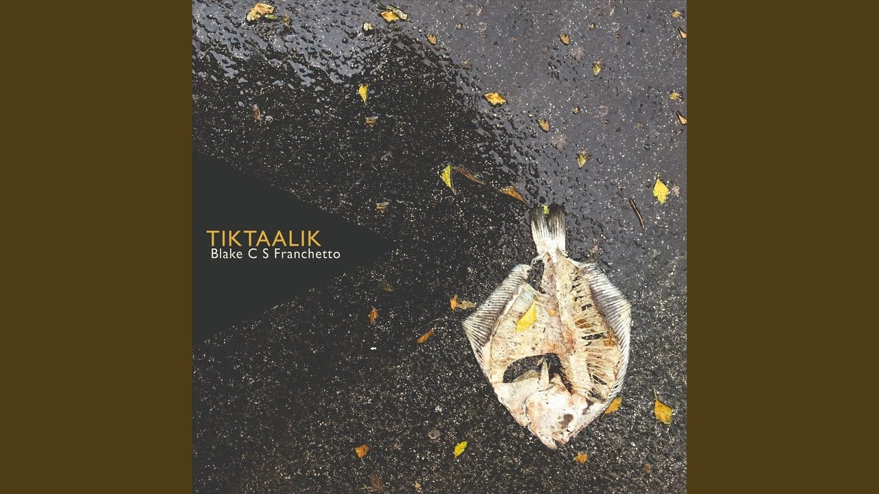 Out of Kilter (feat. Claudio Vignali & Mauro Negri) - YouTube