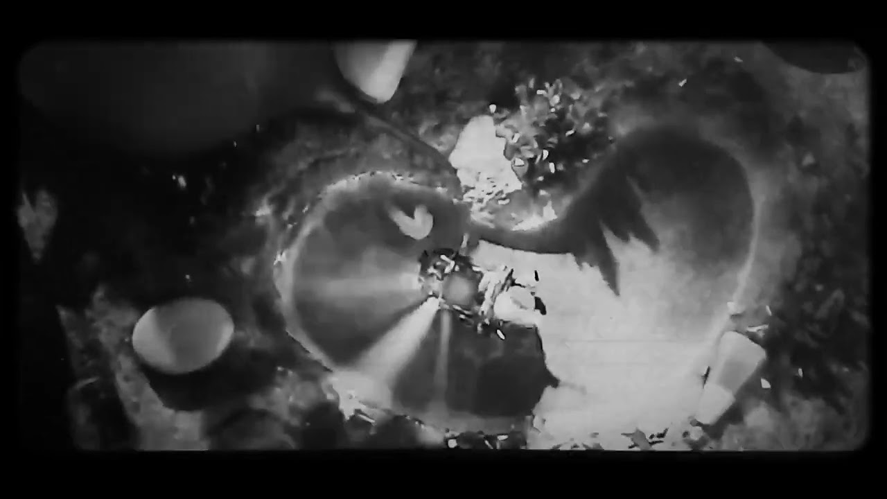 Cheespider - YouTube