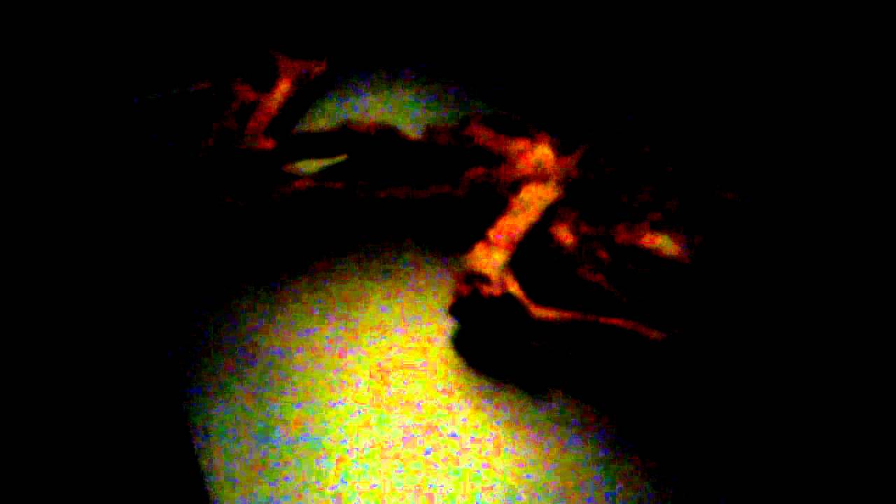 Bog man Dublin museum - YouTube