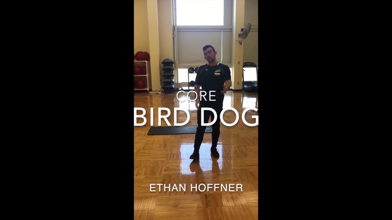 Ethan BIRD DOG - YouTube