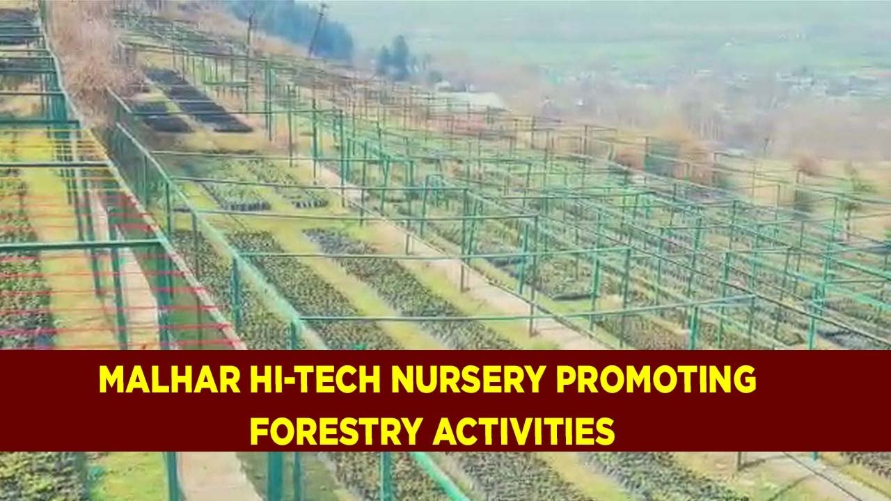 Malhar hi-tech nursery promoting forestry activities - YouTube