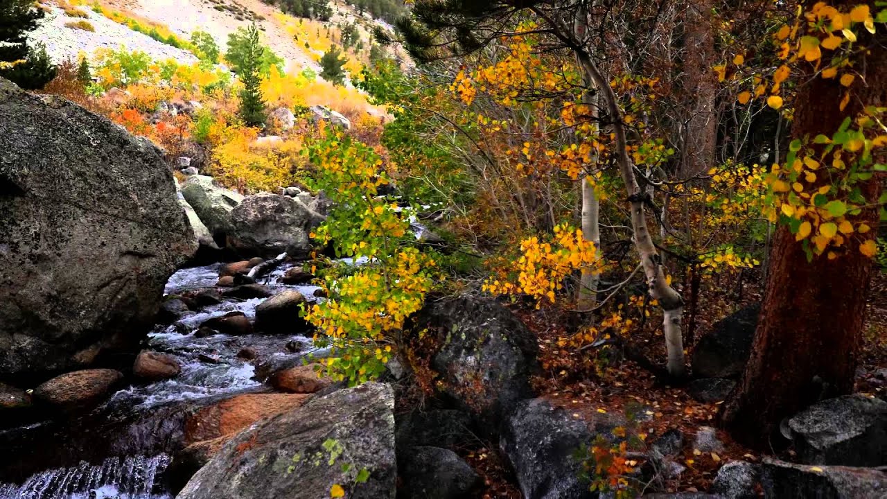 Eastern Sierra Fall Colors - YouTube