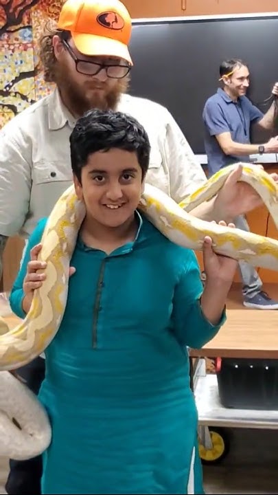 The dangerous Python on Sarim - YouTube