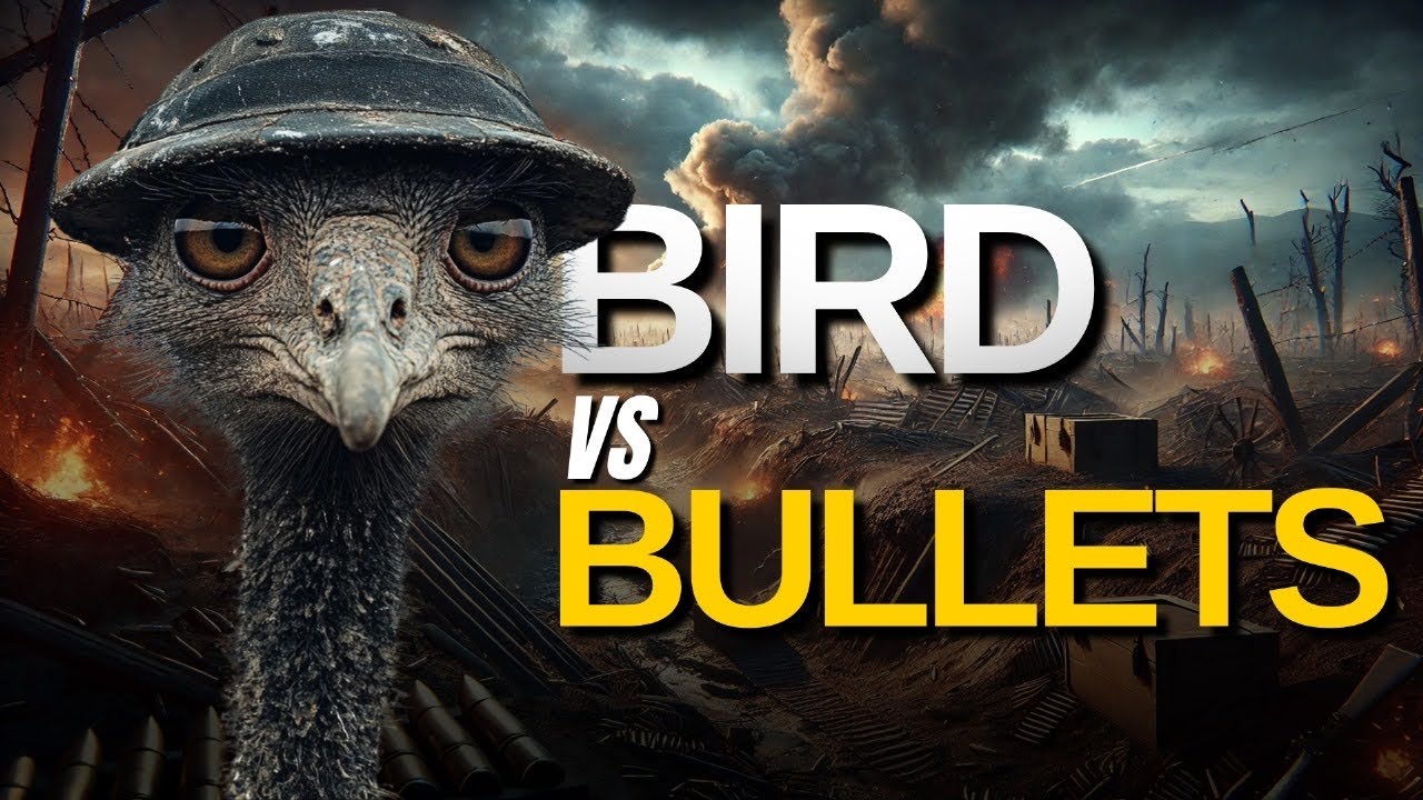 The True Story of Australia’s Bizarre Emu War of 1932 - YouTube