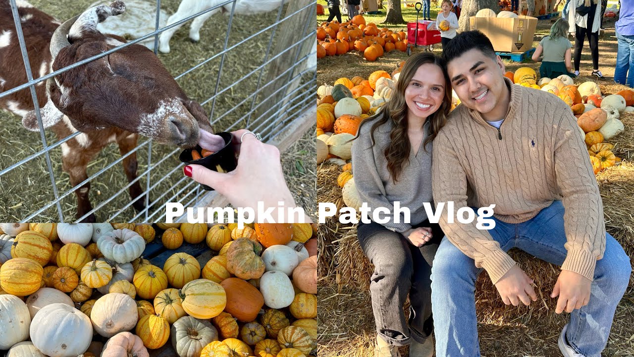 Short Saturday Vlog! Pumpkin Patch! - YouTube