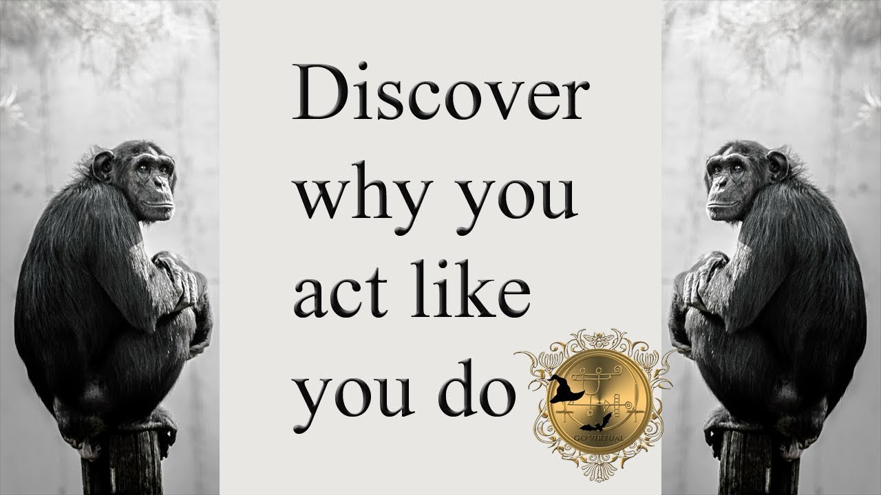 Discover why you act like you do. The metaphysical explanation of your ...