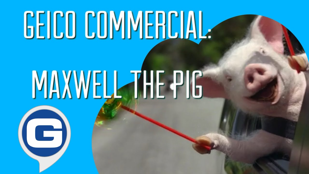 GEICO Commercial - Maxwell The Pig 🐷🪁(2010) - YouTube