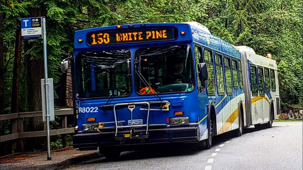 Translink 1999 New Flyer D60LF R8022 - YouTube