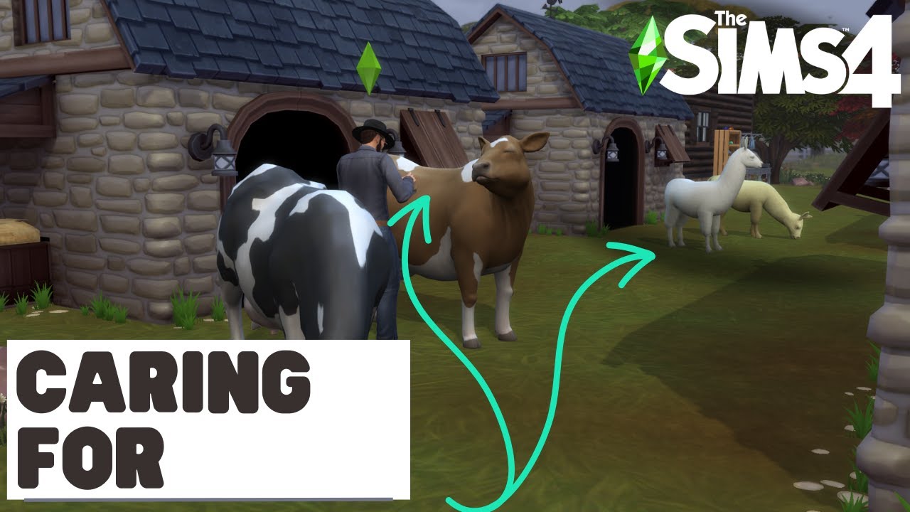 The Ultimate Sims 4 Cow and Llama Care Guide - YouTube