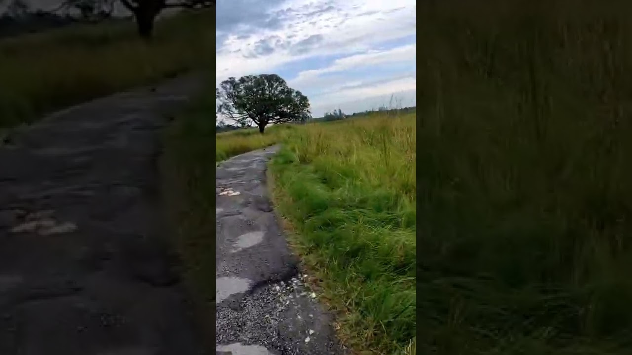 Just a Mini vlog || Just try..😊😊 ️ ️ - YouTube