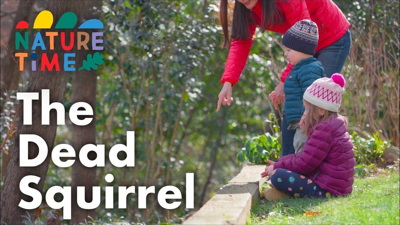 When Kids Find a Dead Animal in Nature | Tips for Building Empathy and ...