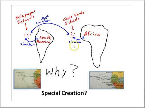 Darwin's evidence for species change: Geographic distribution of ...