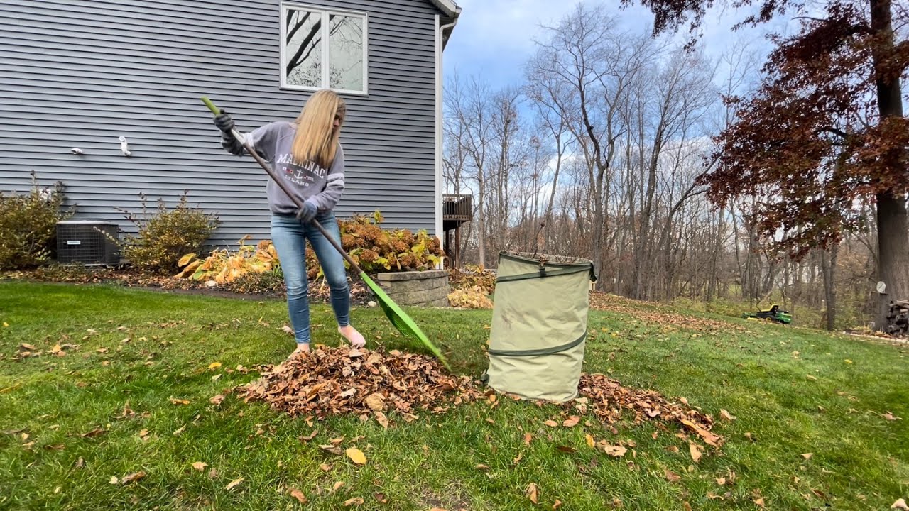 Fall clean up starts: Cleaning up and gathering leafs for my garden ...