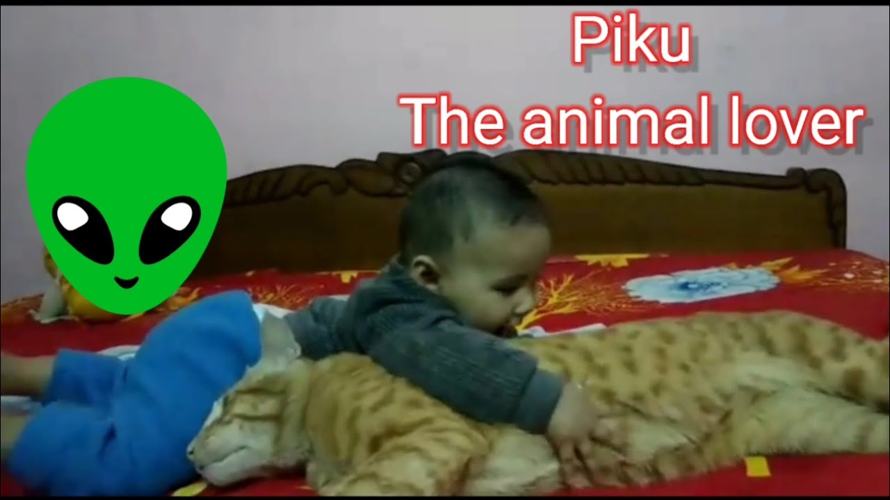 Piku The animal lover - YouTube