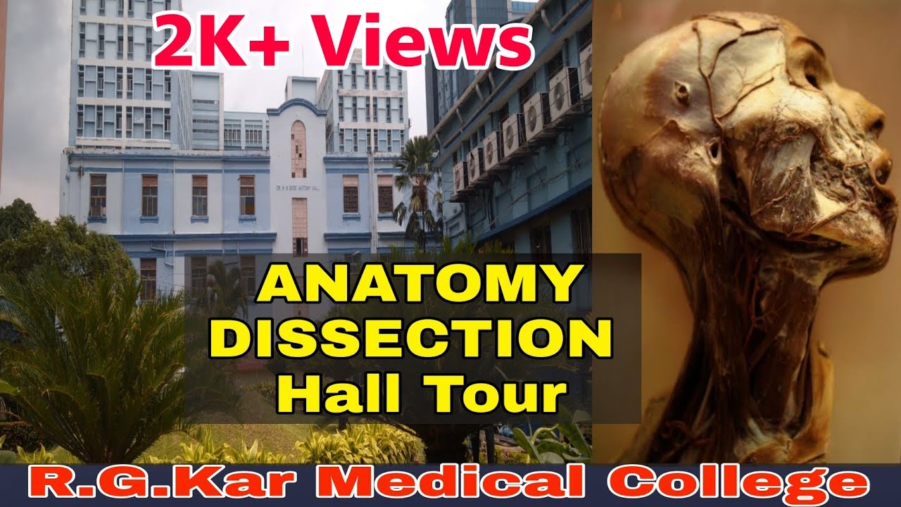 #rgkar #medicalcollege ANATOMY dissection hall #vlog |The DesiDoc - YouTube
