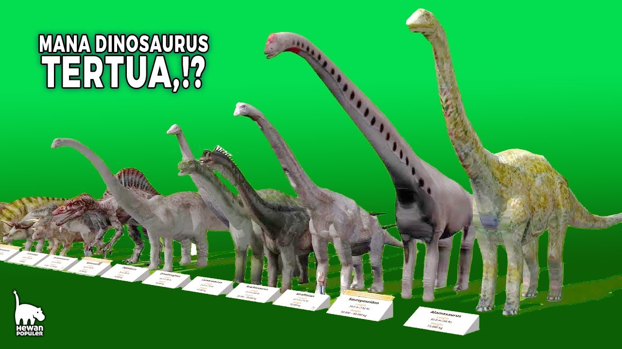 Perbandingan Ukuran dan Berat DINOSAURUS TERBESAR Sepanjang Sejarah ...