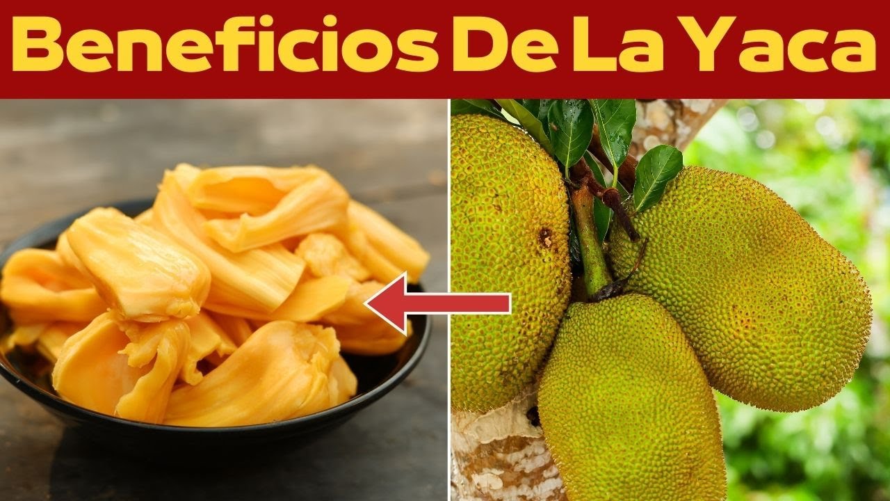 Descubre 7 Sorprendentes Beneficios De La Yaca - YouTube
